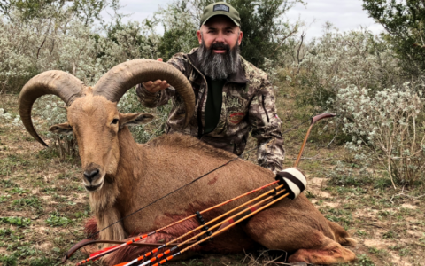 Texas Exotic Hunting - Lonesome Bull Ranch