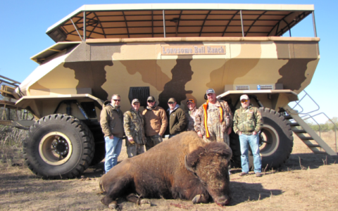 Texas Exotic Hunting - Lonesome Bull Ranch
