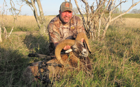 Texas Exotic Hunting - Lonesome Bull Ranch