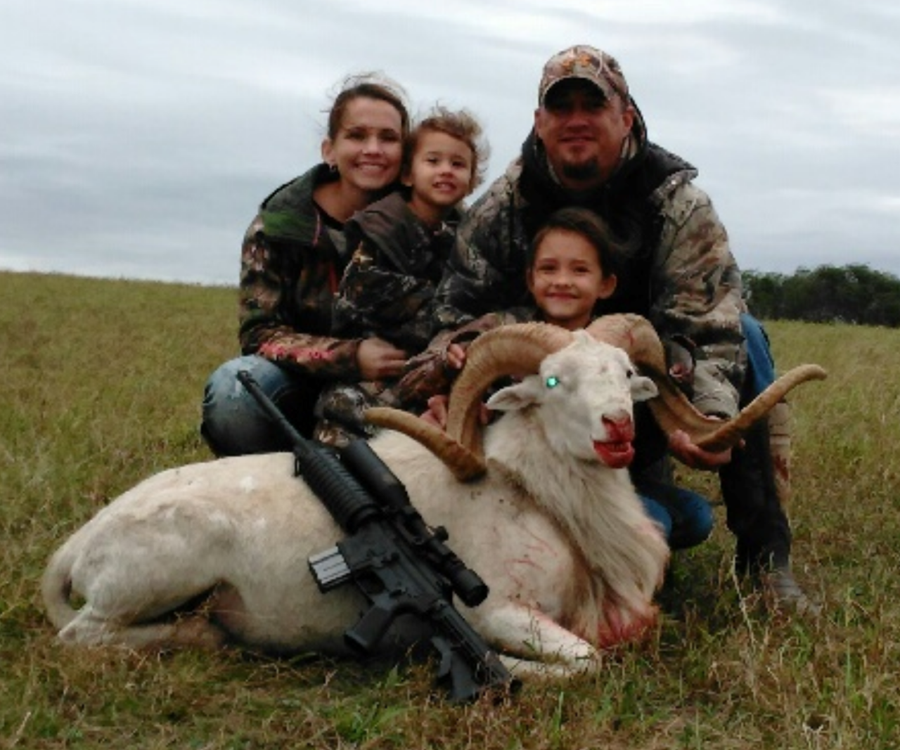 Texas Dall Sheep Hunting - Lonesome Bull Ranch