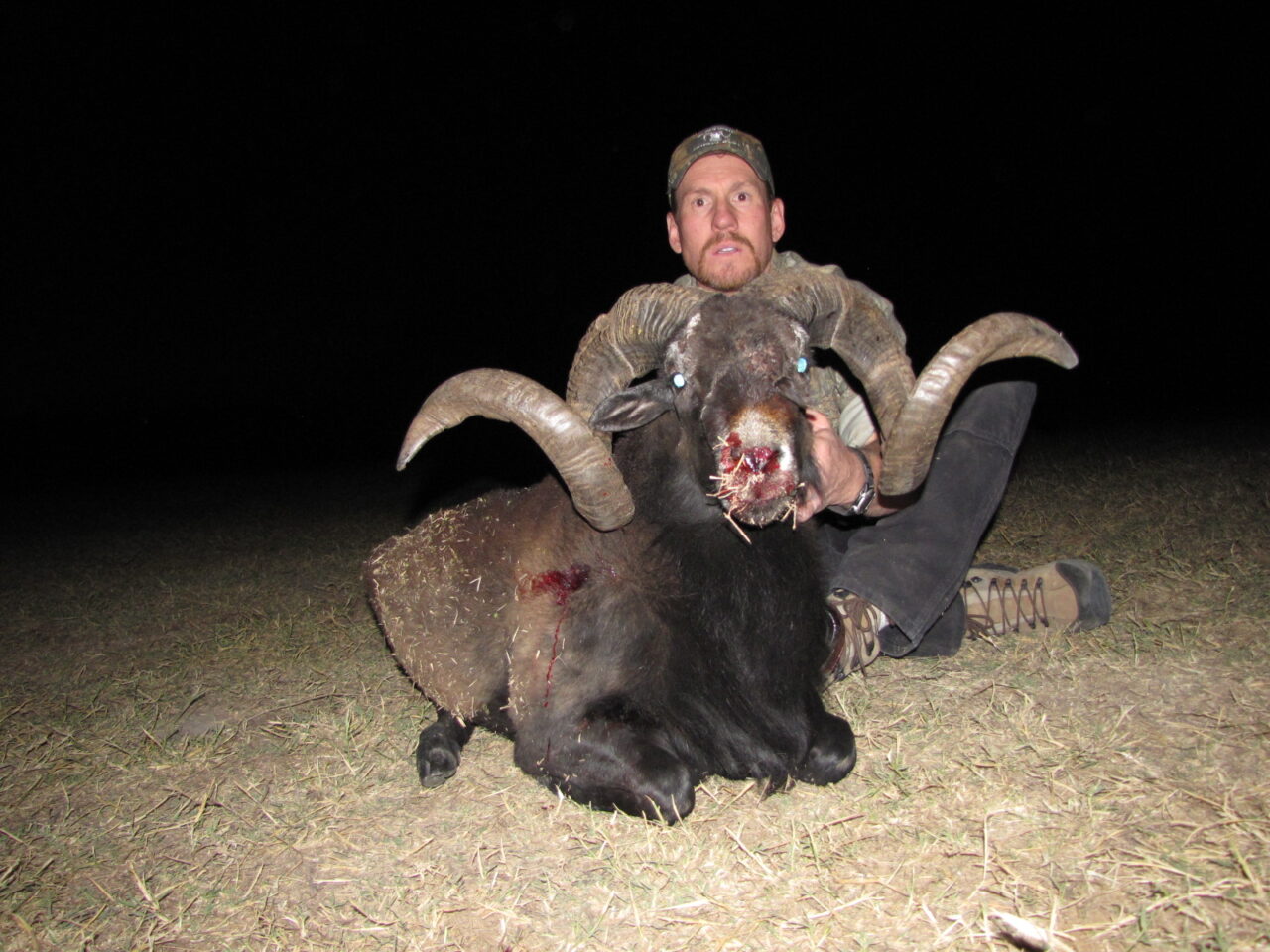 Black Hawaiian Sheep Hunting - Lonesome Bull Ranch